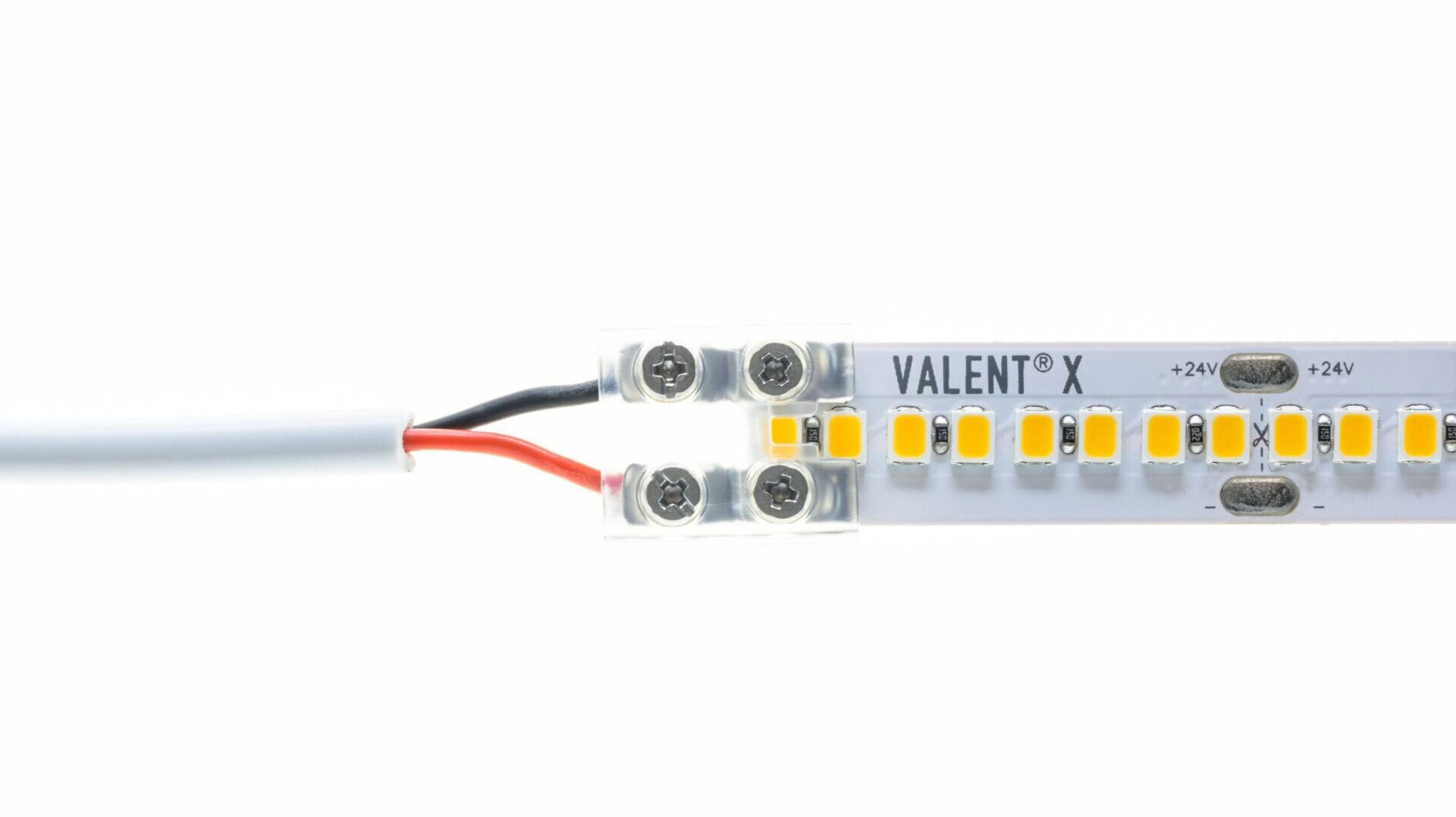 Terminal Block Connector - Lucetta